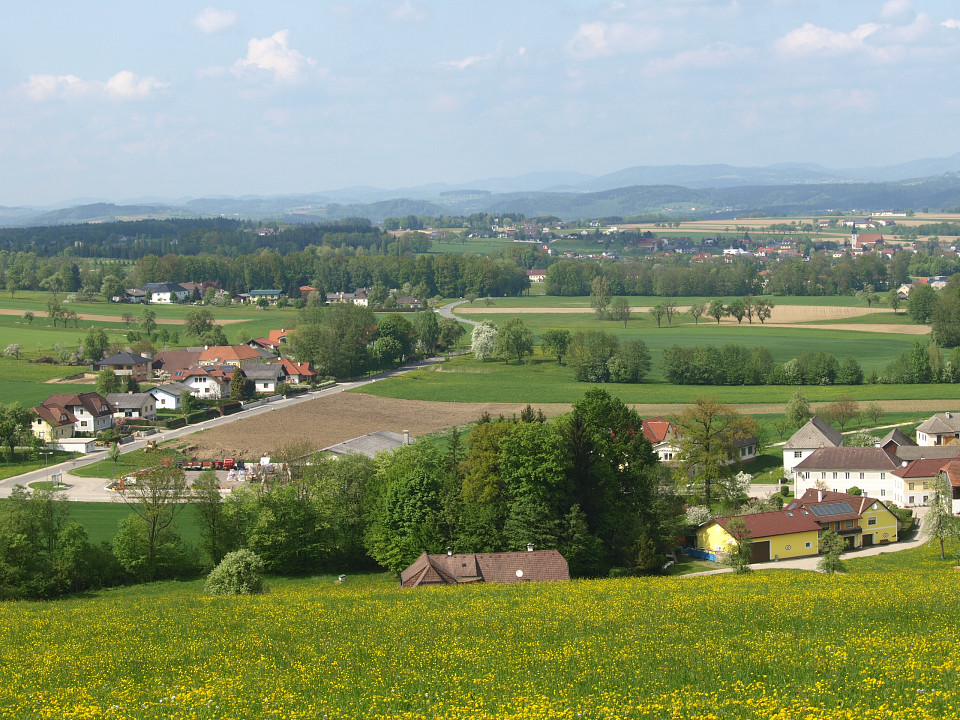 4 Häuser in 3325 Ferschnitz zu kaufen und zu mieten - REMAX